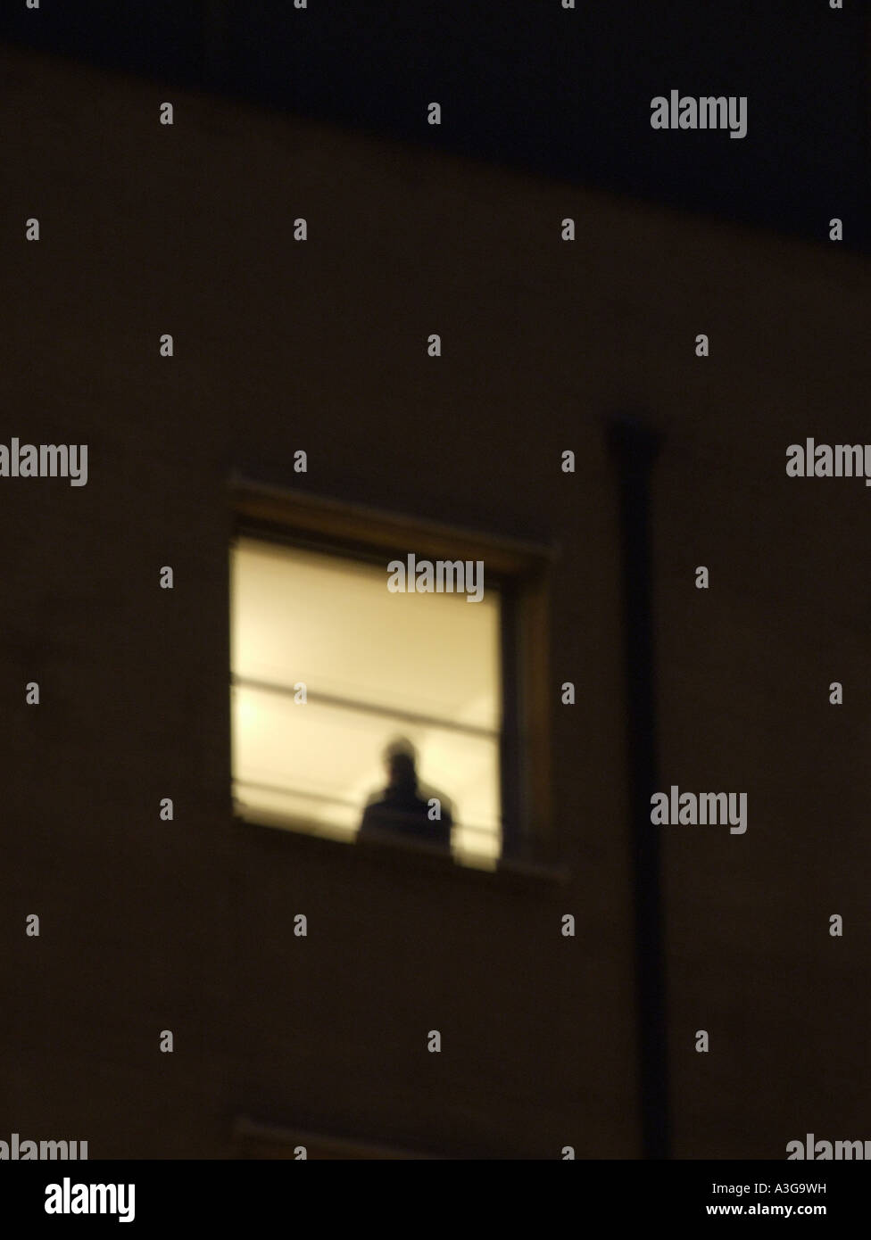 person at office window at night Stock Photo - Alamy