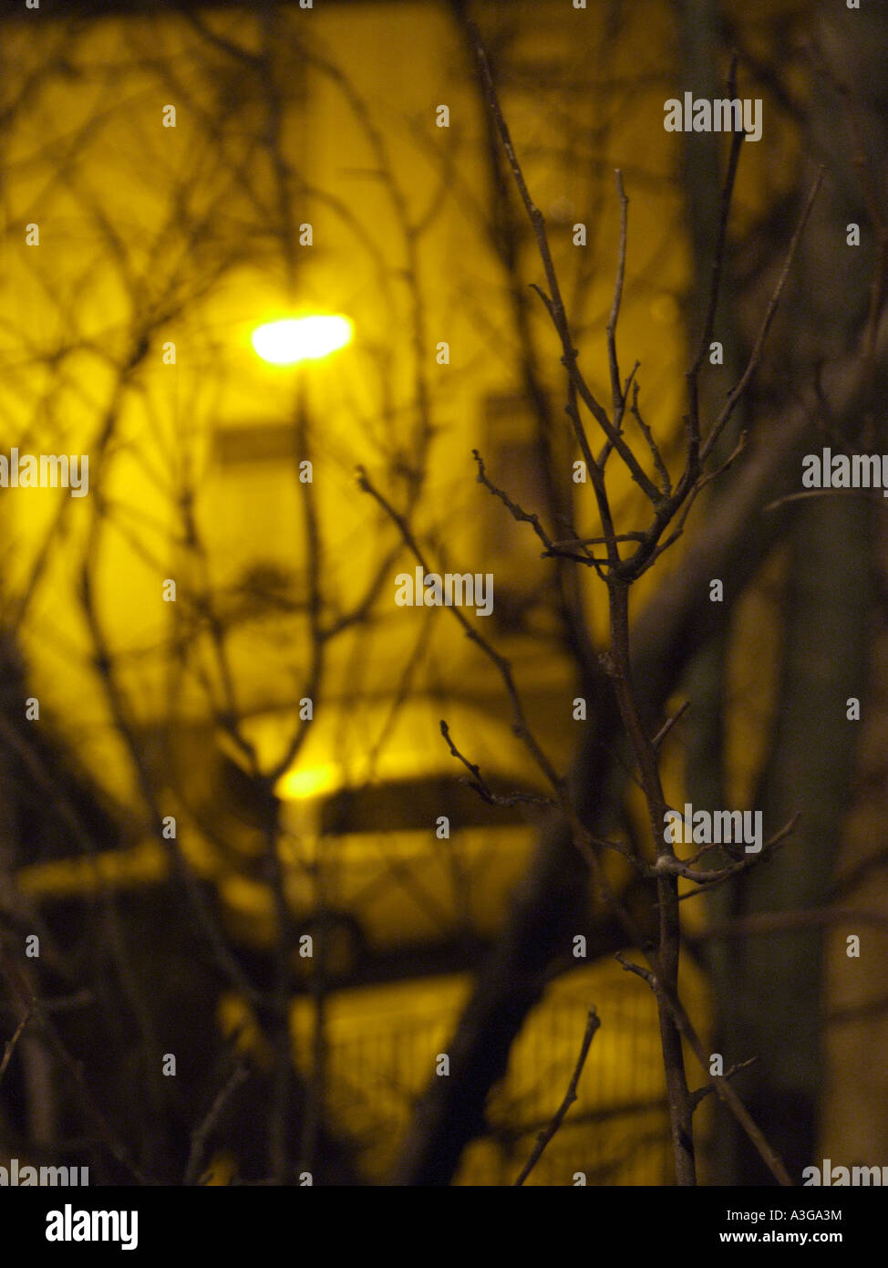 car parked outside home at night Stock Photo - Alamy