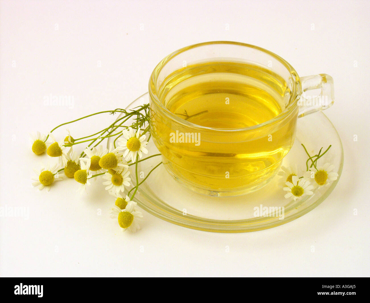 Camomile tea cut out hi-res stock photography and images - Alamy