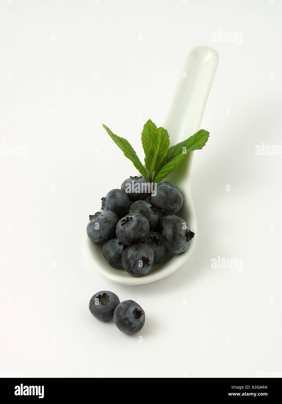 Vaccinium myrtillus bilberry kitchen hi-res stock photography and ...