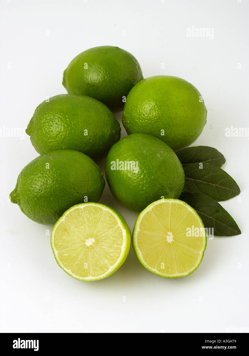 Lime inside Cut Out Stock Images & Pictures - Alamy