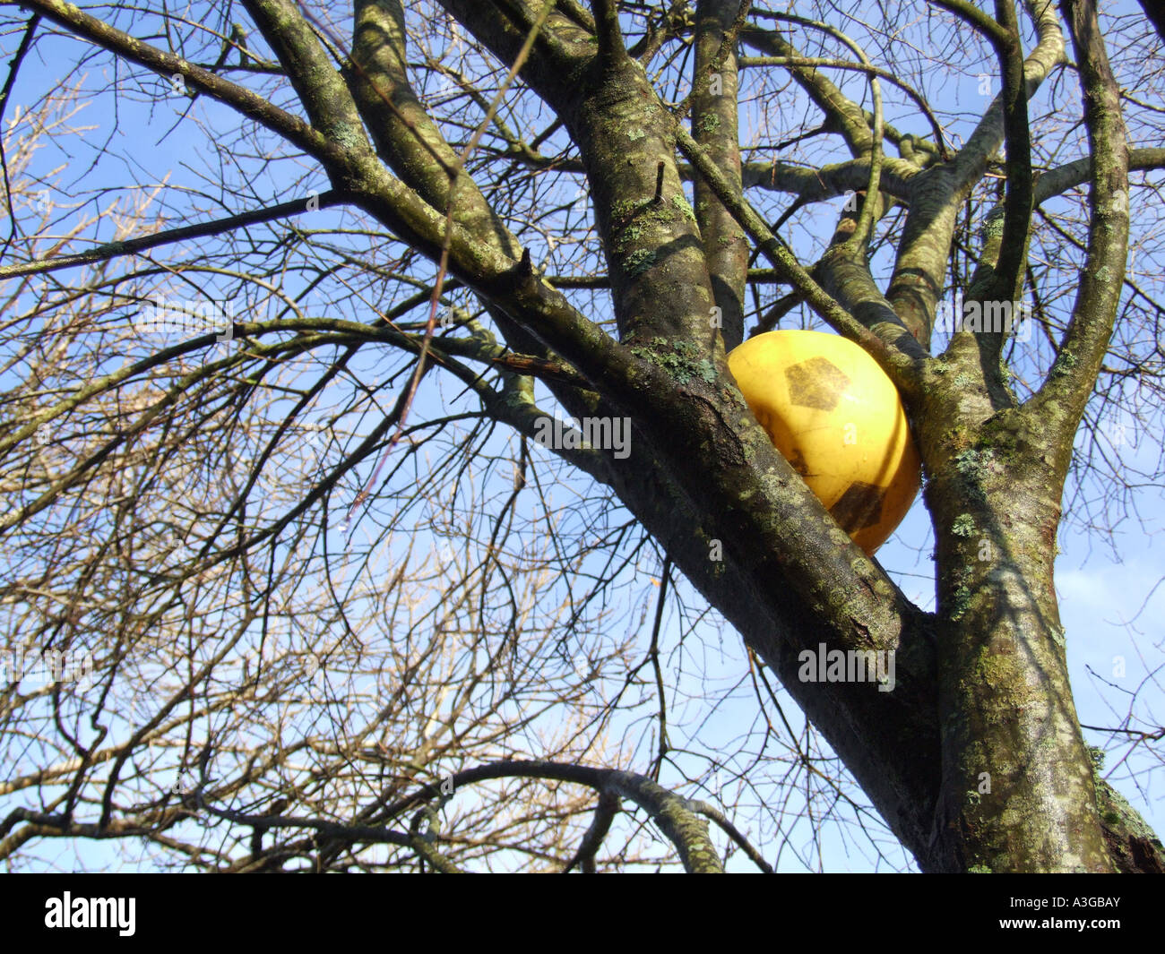 child's football stuck in tree Stock Photo - Alamy