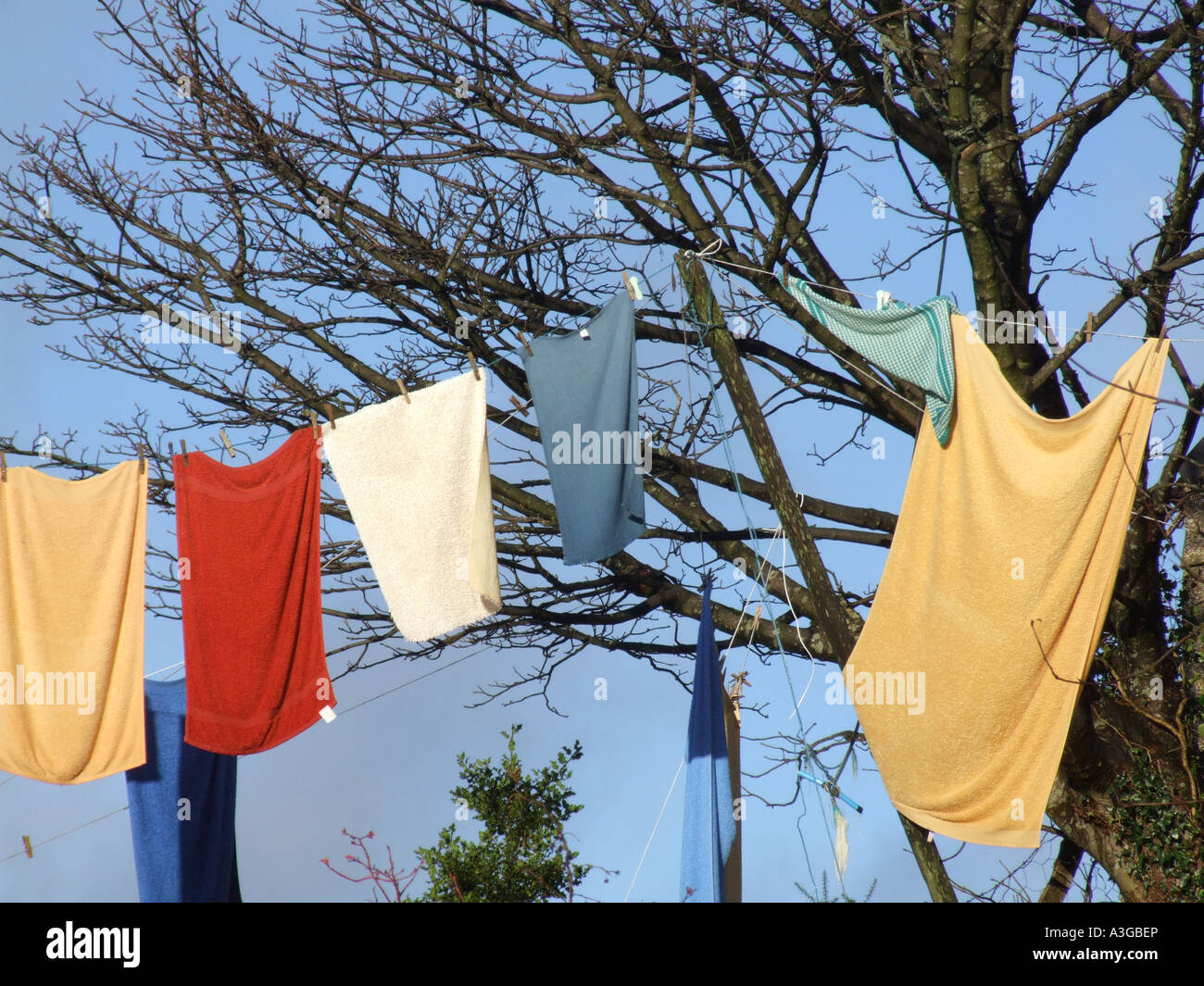 clean clothes on washing line Stock Photo - Alamy