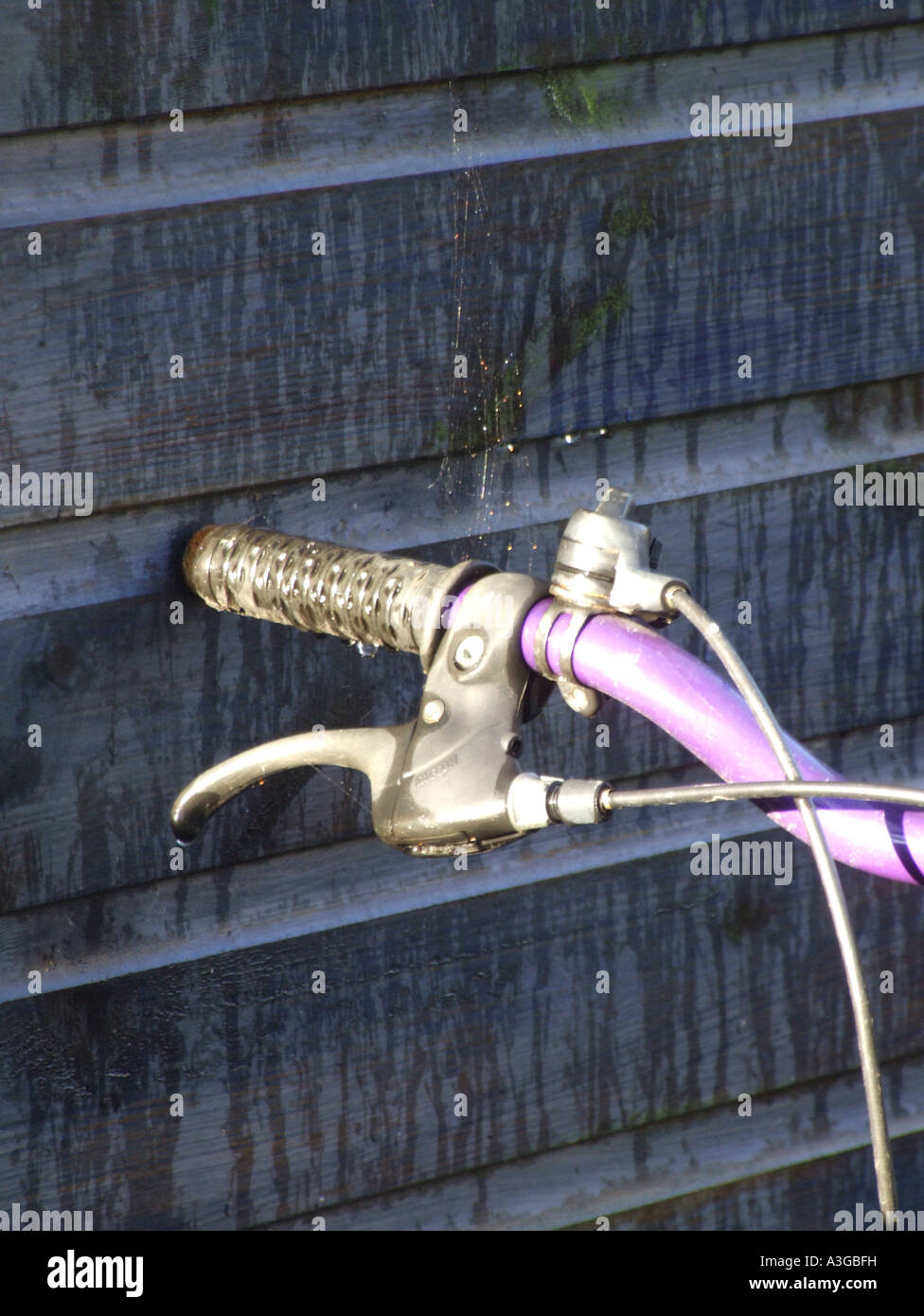 Purple bike with brake hi-res stock photography and images - Alamy