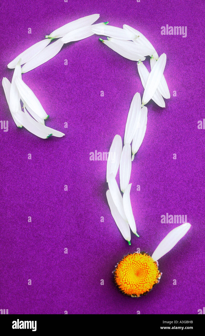 Question flower hi-res stock photography and images - Alamy