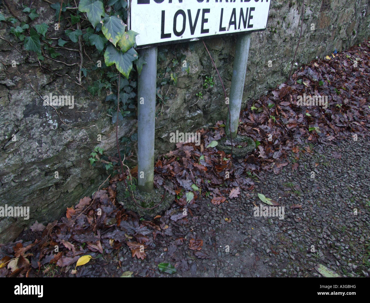 love lane street name Stock Photo - Alamy