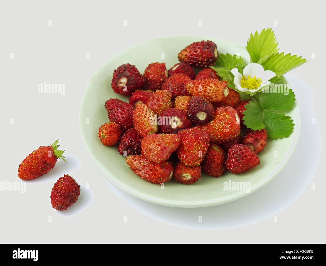 Wild berry flavor Cut Out Stock Images & Pictures - Alamy