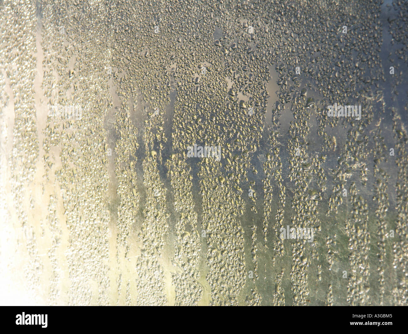 Water droplets on a window in early morning Stock Photo - Alamy