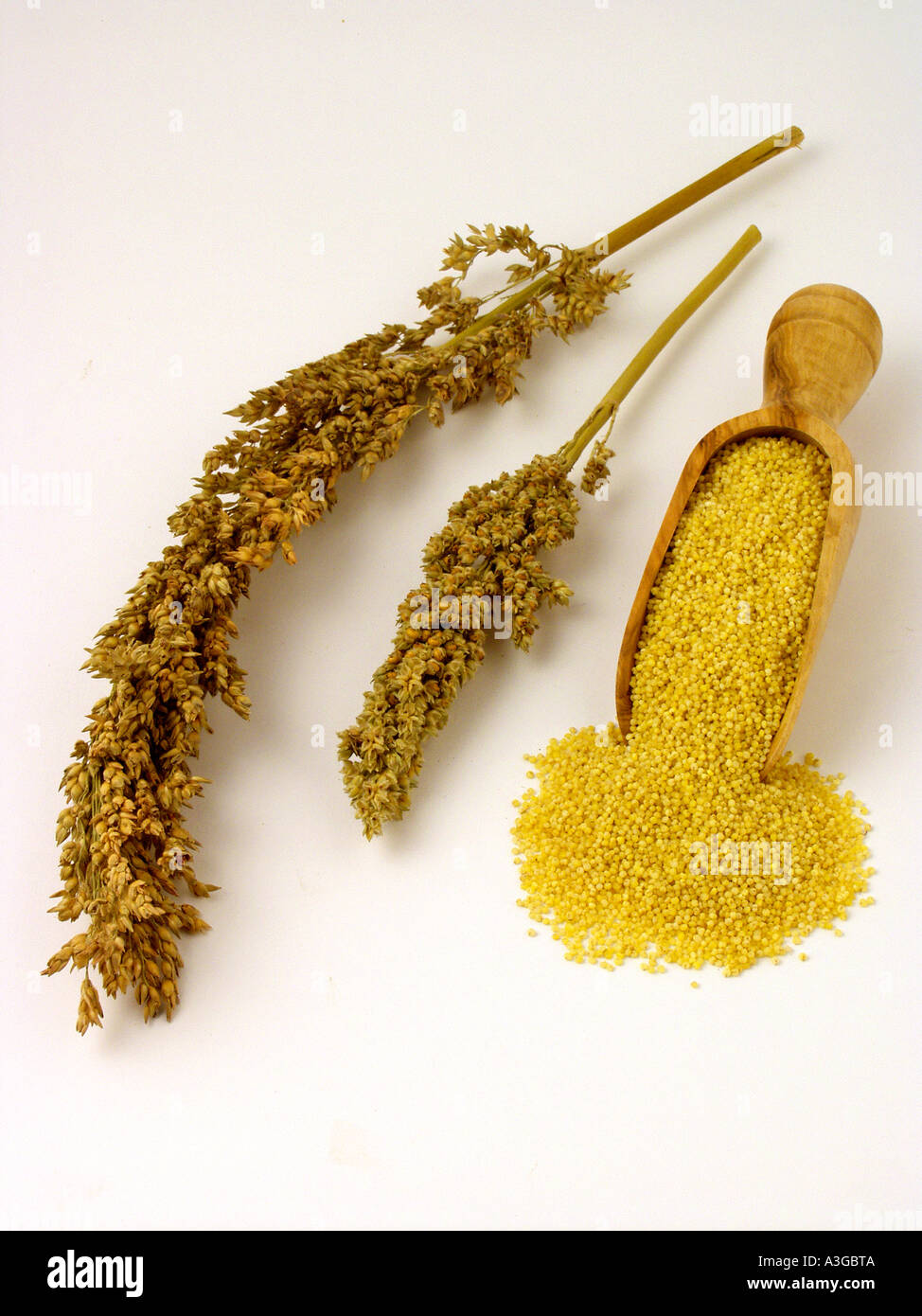 Such as millet hi-res stock photography and images - Alamy