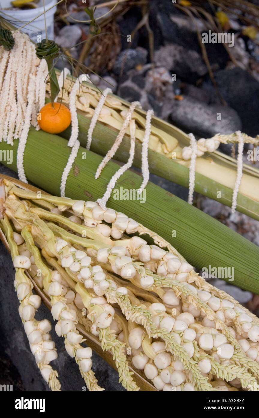 Coconut tree, palm tree art on street, Big Island, Kona, Hawaii, USA ...