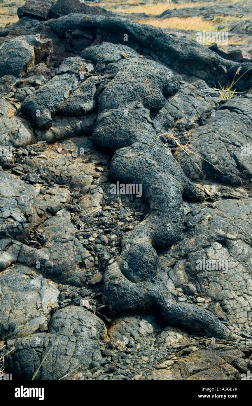 Hard Lava on the way to Pu'u Loa Petroglyphs in Hawai'i Volcanoes ...