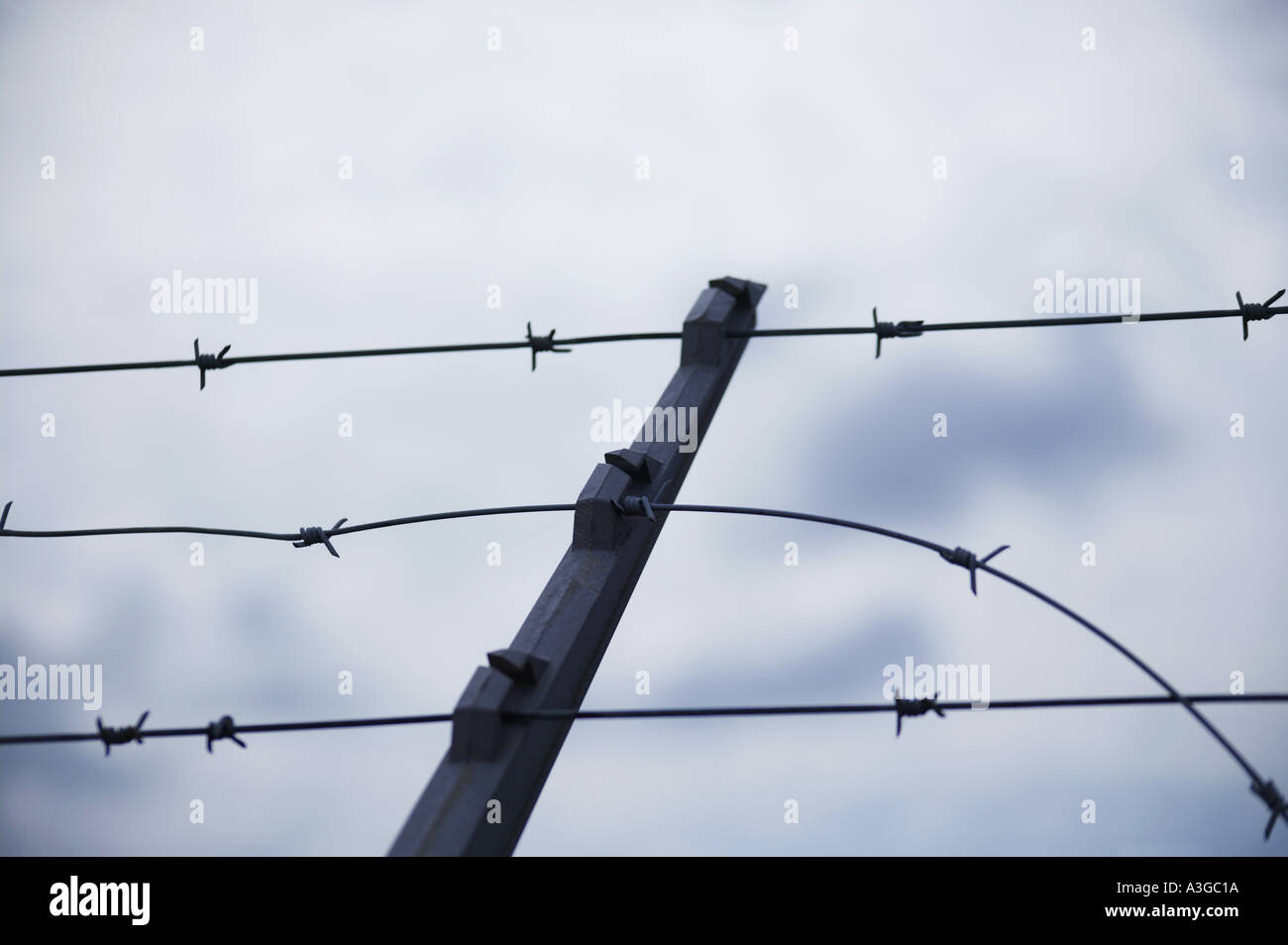 A barbed wire fence Stock Photo - Alamy