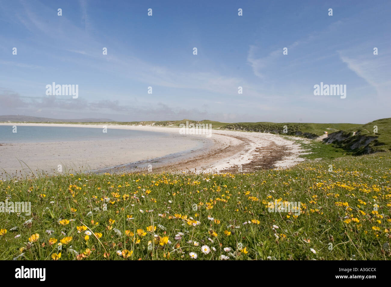 Balranald rspb nature reserve hi-res stock photography and images - Alamy