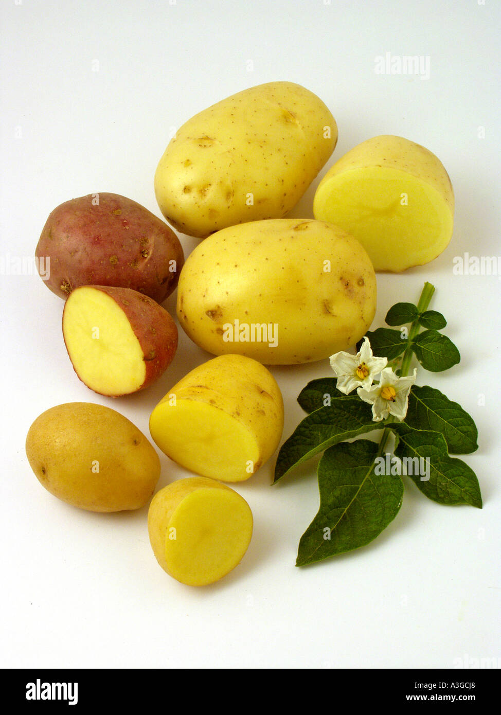 Organic raw potatoes on Cut Out Stock Images & Pictures - Alamy