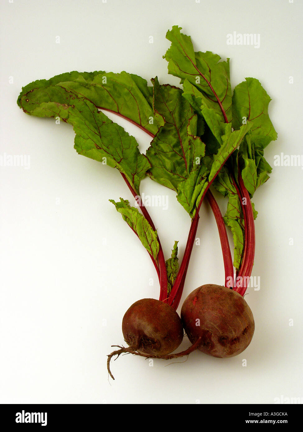 Red beet root vegetable Cut Out Stock Images & Pictures - Alamy