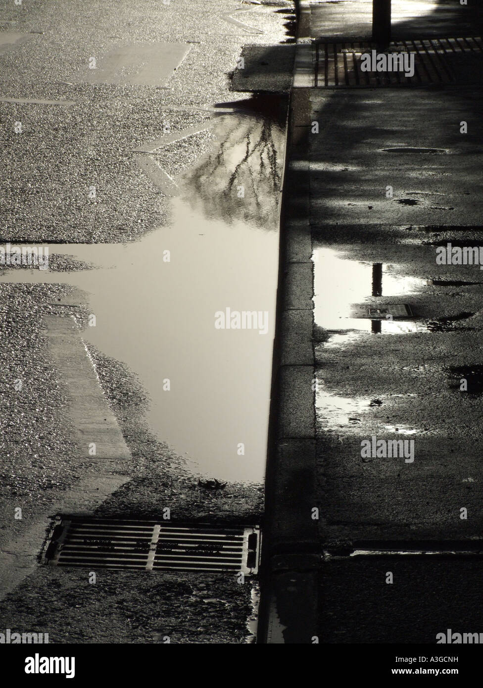 building reflected in a puddle of water on wet street Stock Photo - Alamy
