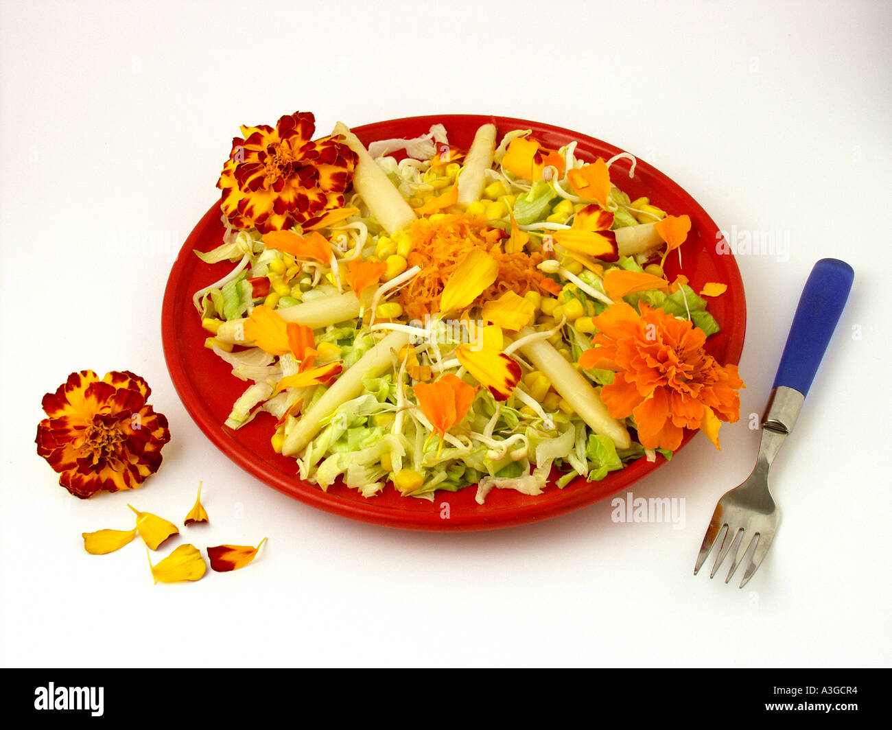 Marigolds salad Tagetes hybr. Recipe available Stock Photo - Alamy