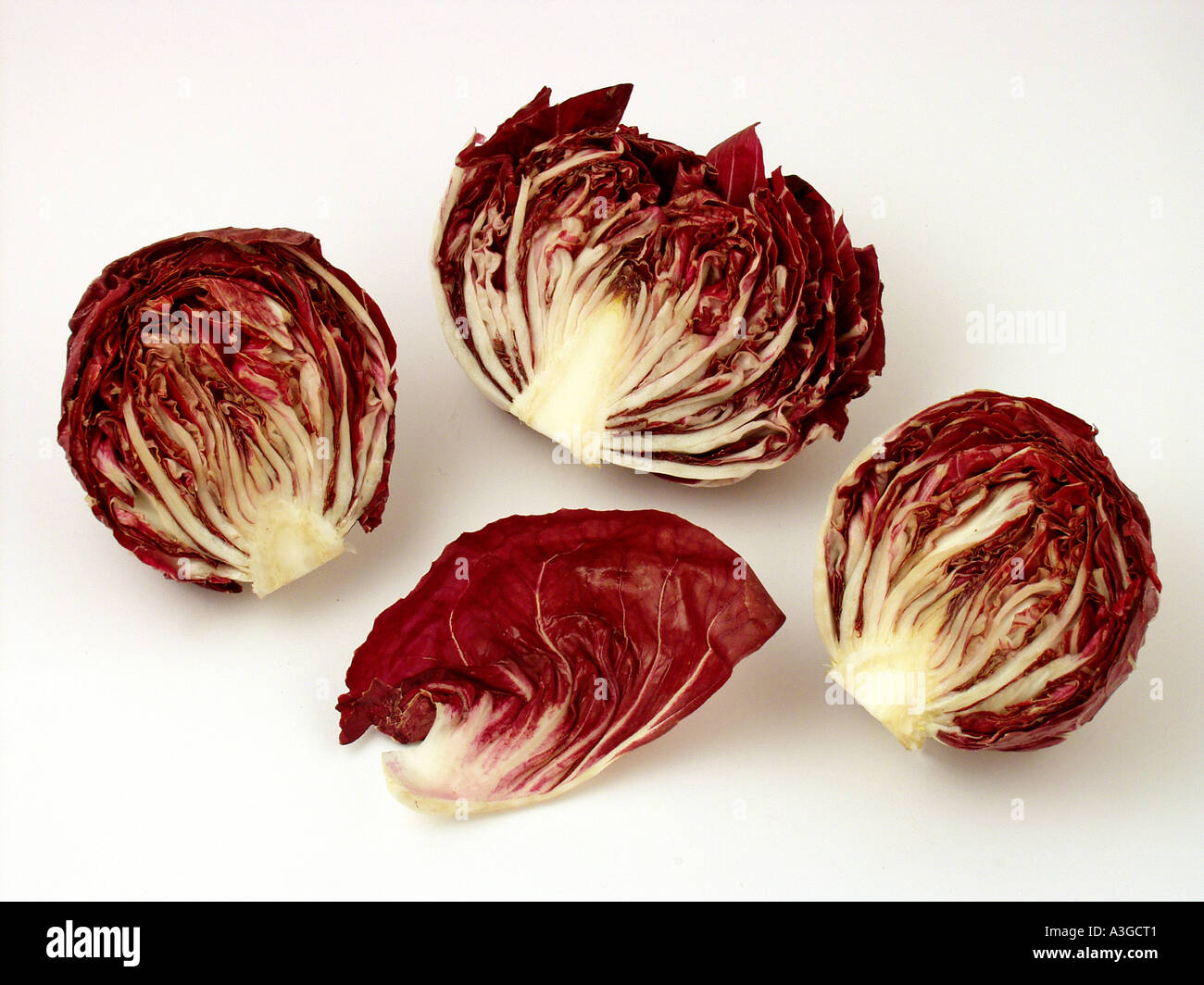 Red chicory hi-res stock photography and images - Alamy