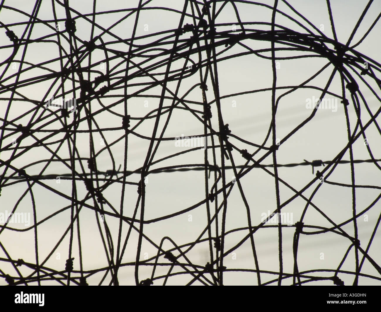 close up of metal wire fence in a tangle Stock Photo - Alamy