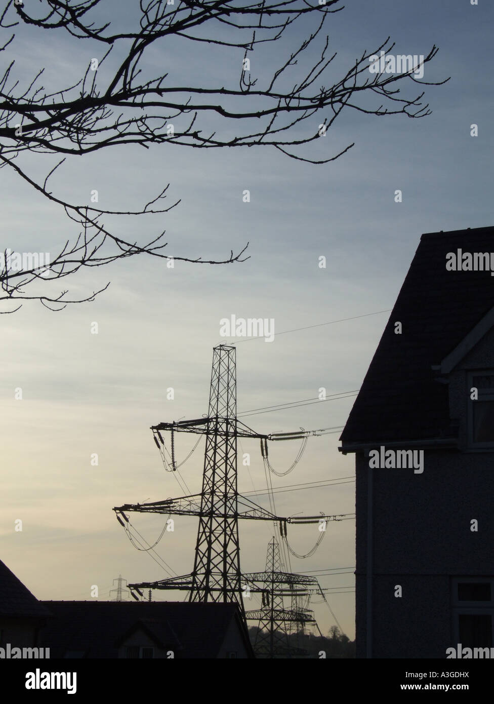 Pylon tree pattern hi-res stock photography and images - Alamy