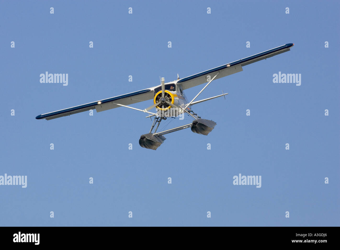 De havilland beaver float plane hi-res stock photography and images - Alamy