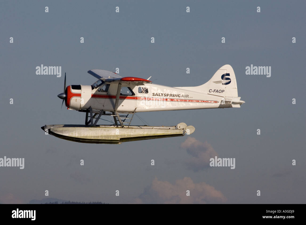 De Havilland Beaver Floatplane High Resolution Stock Photography and ...