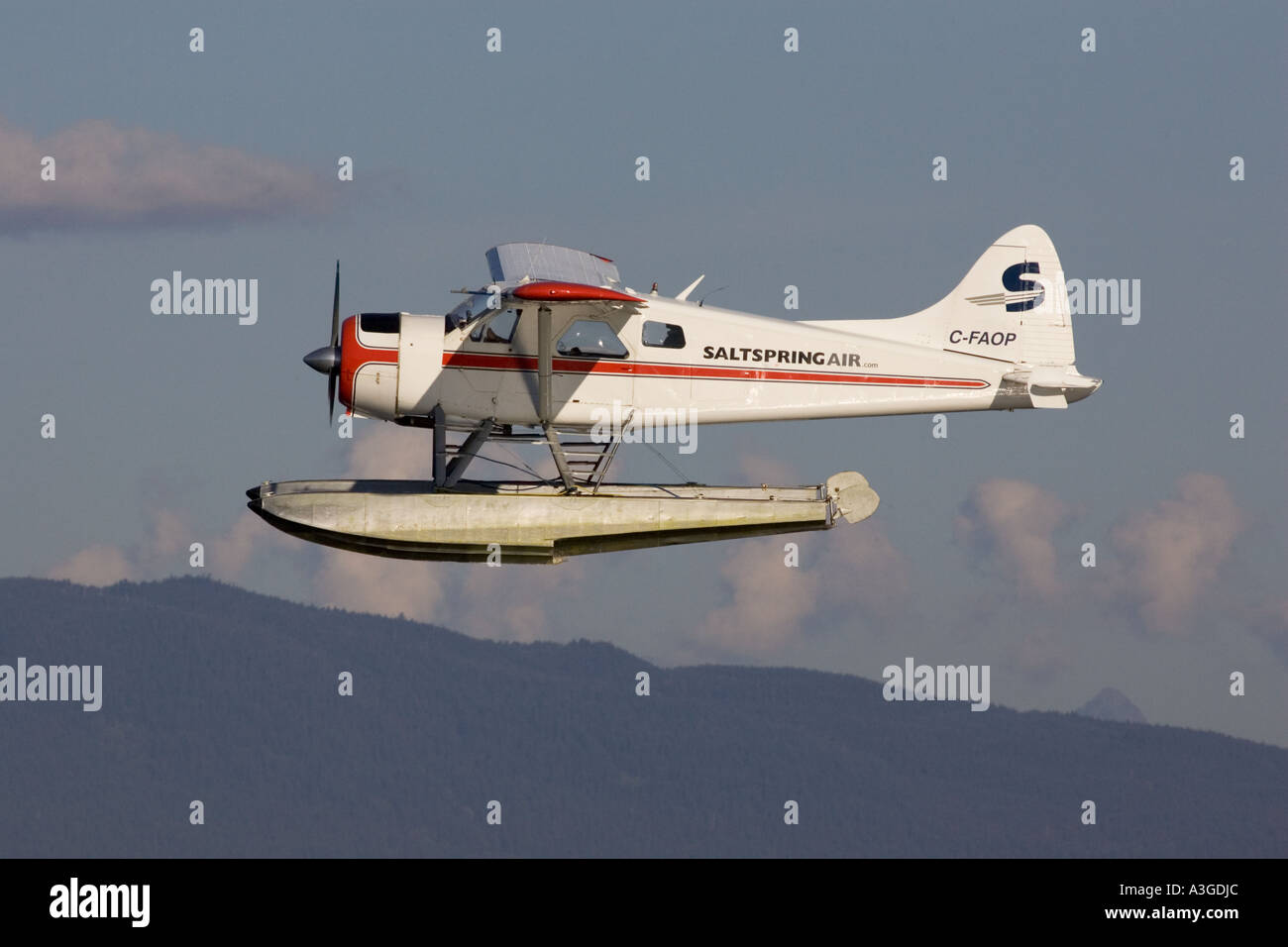 De Havilland Canada DHC2 Beaver floatplane Stock Photo - Alamy