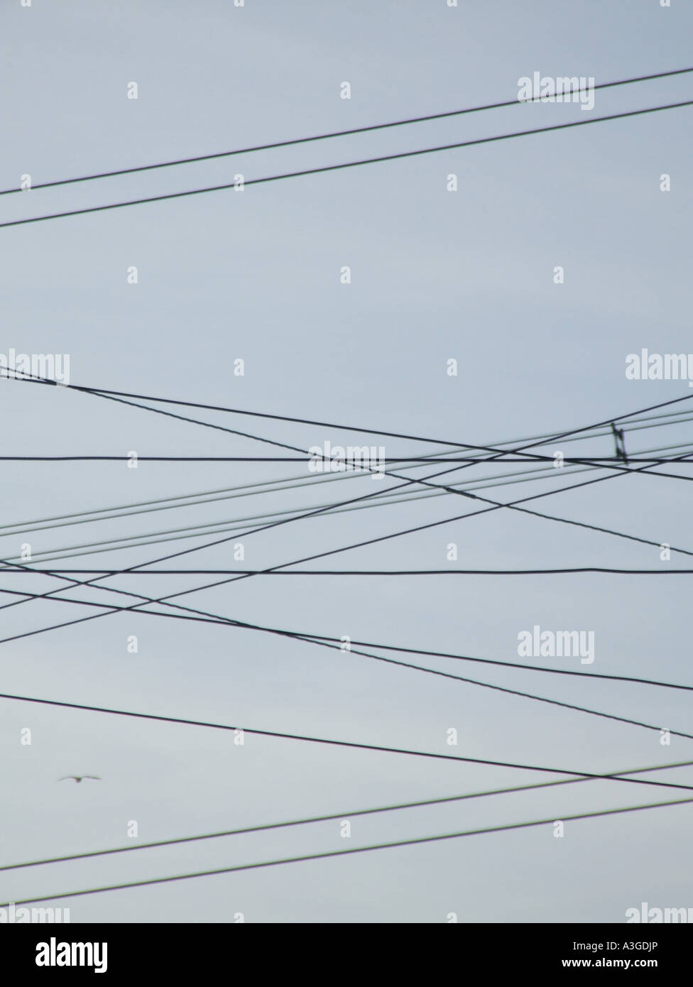 electricity power and phone lines Stock Photo - Alamy