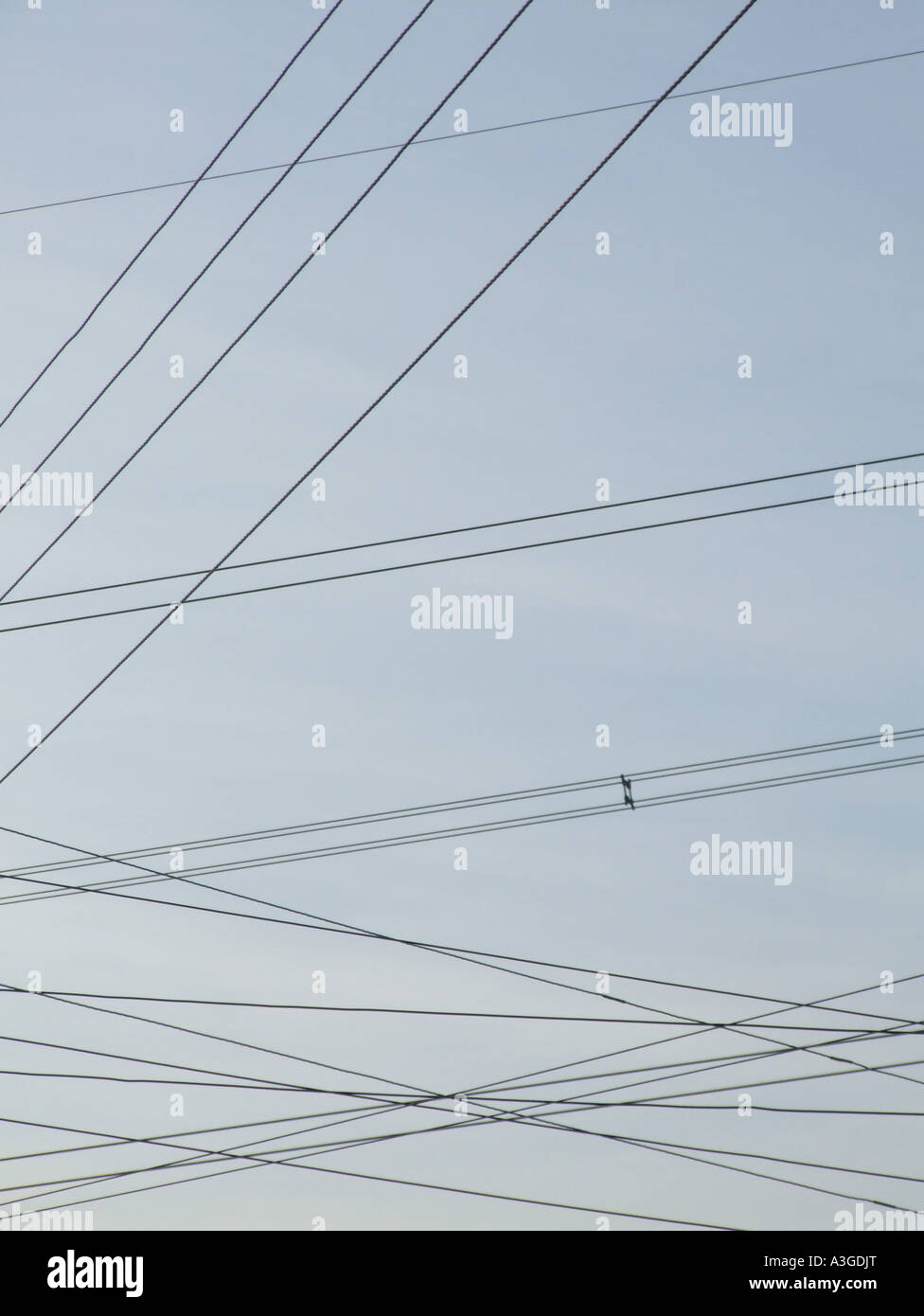 electricity power and phone lines Stock Photo - Alamy