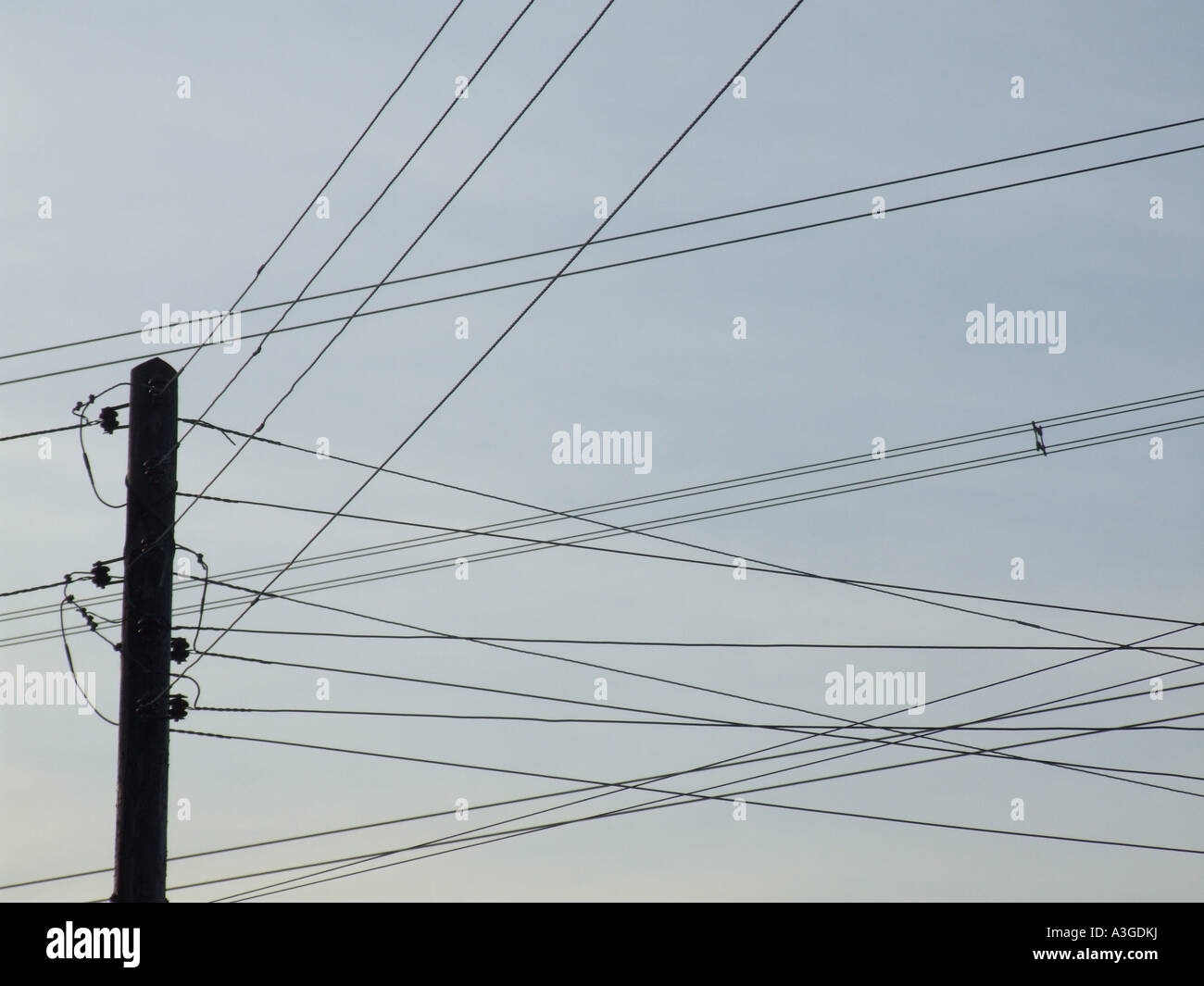 electricity power and phone lines Stock Photo - Alamy