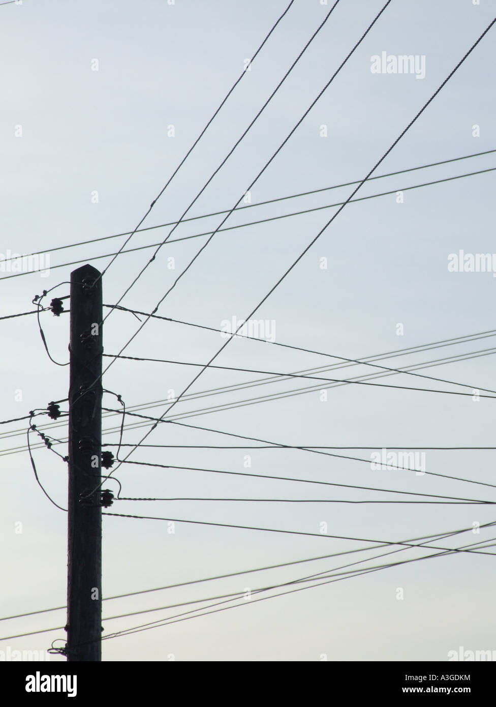 electricity power and phone lines Stock Photo - Alamy