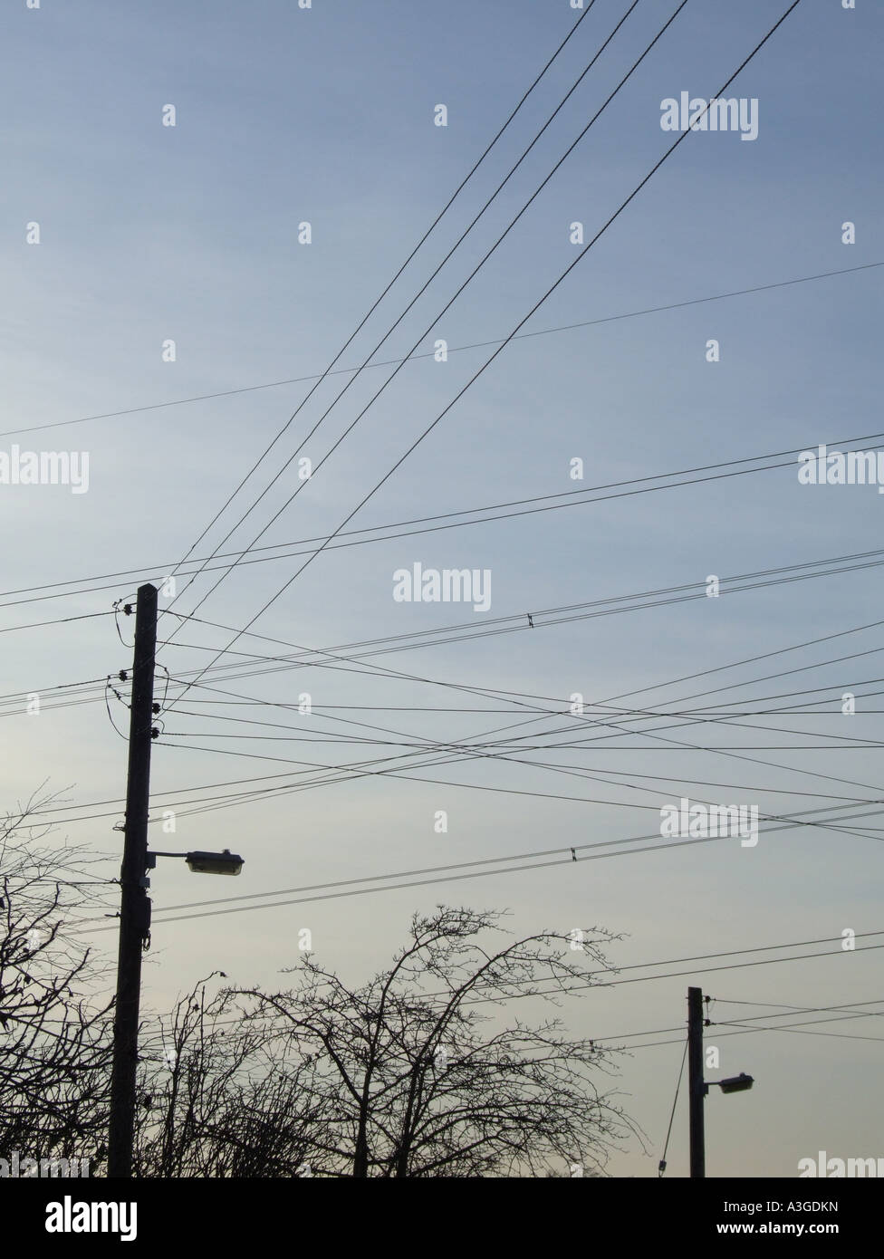 electricity power and phone lines Stock Photo - Alamy