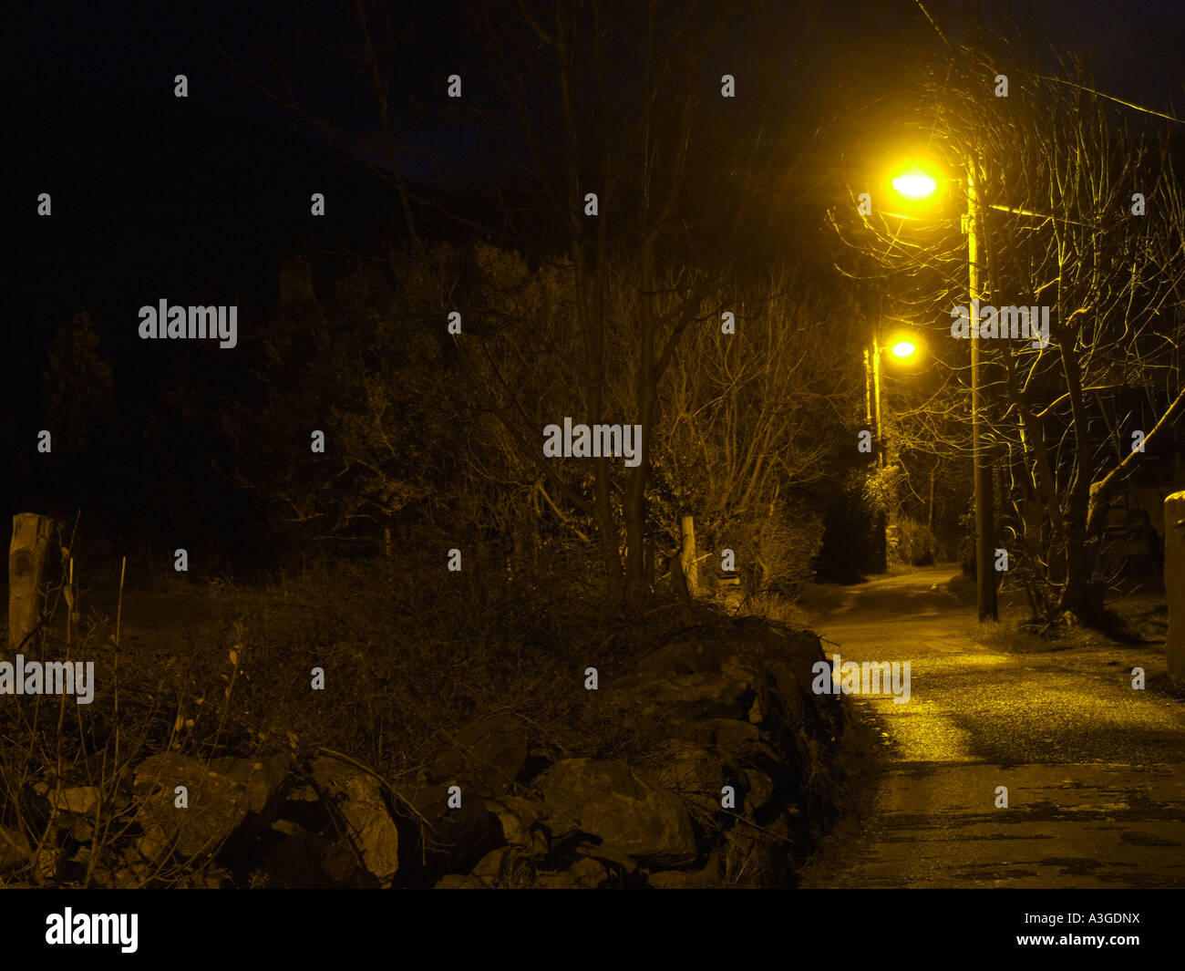 empty rural street at night Stock Photo - Alamy