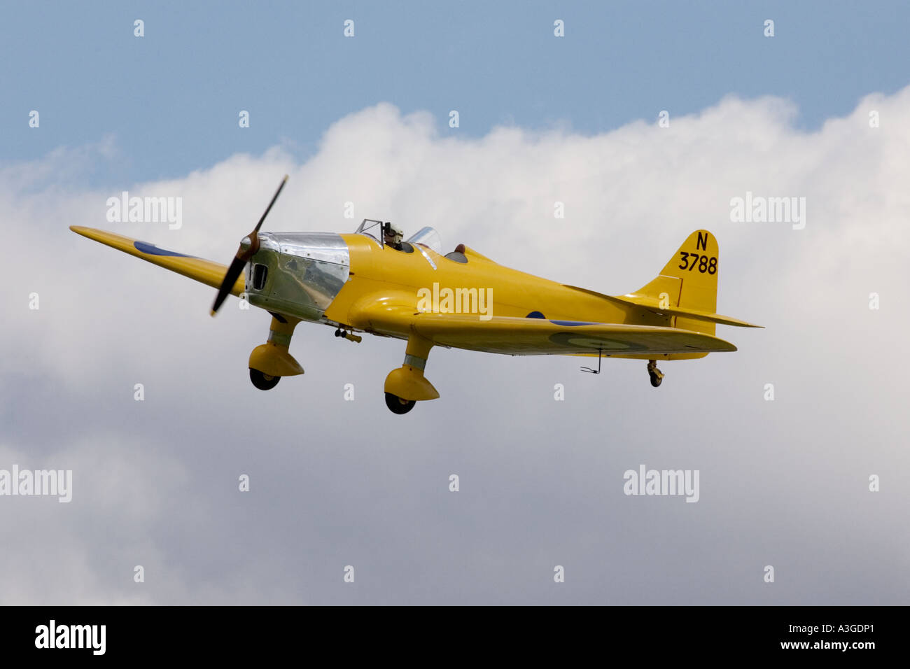 Miles Magister High Resolution Stock Photography and Images - Alamy