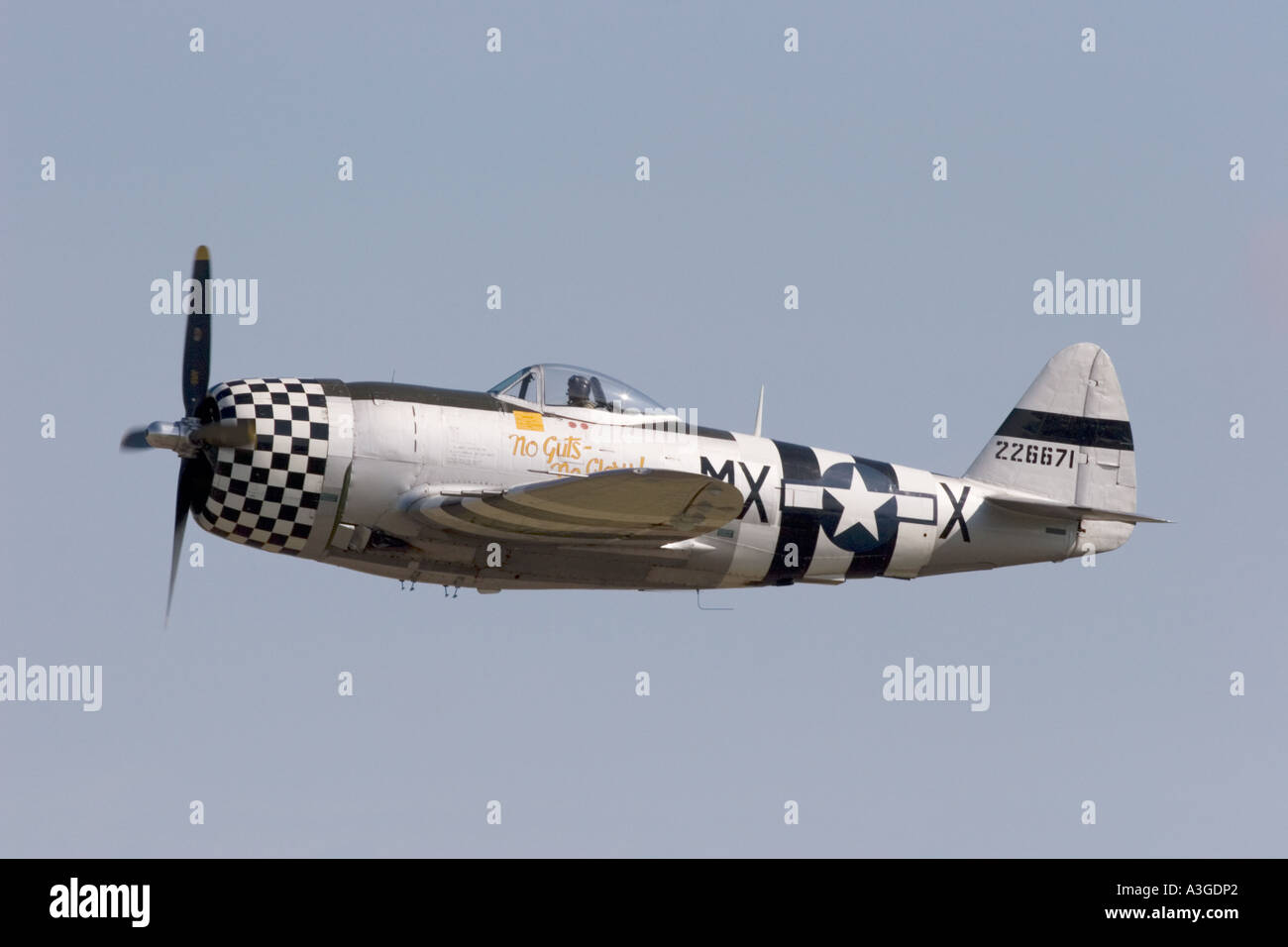 P-47D-23 Razorback AirCorps Aviation, 43% OFF