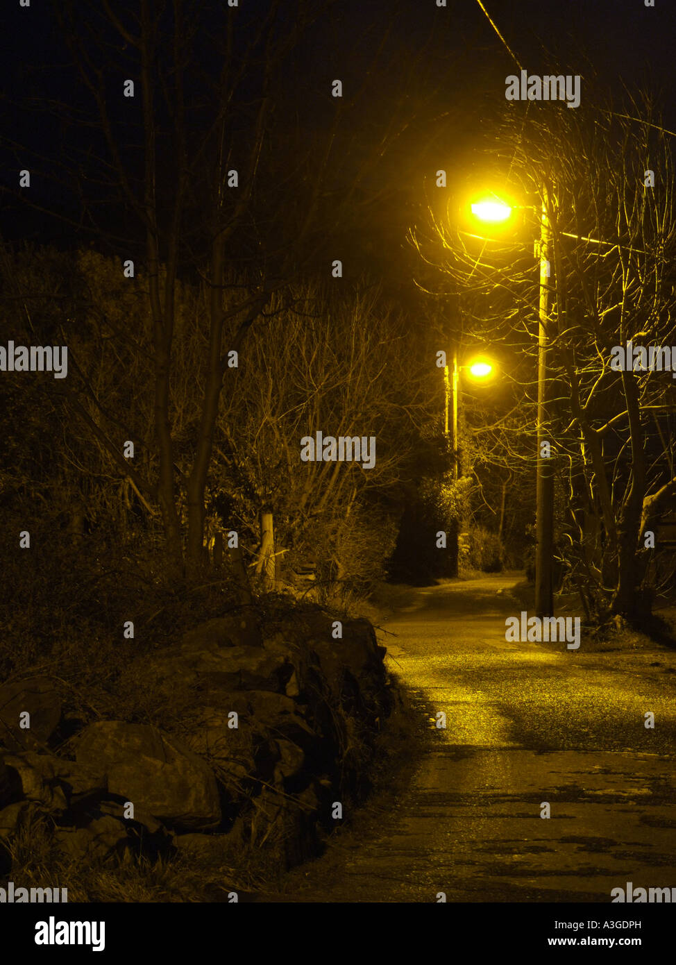 empty rural street at night Stock Photo - Alamy