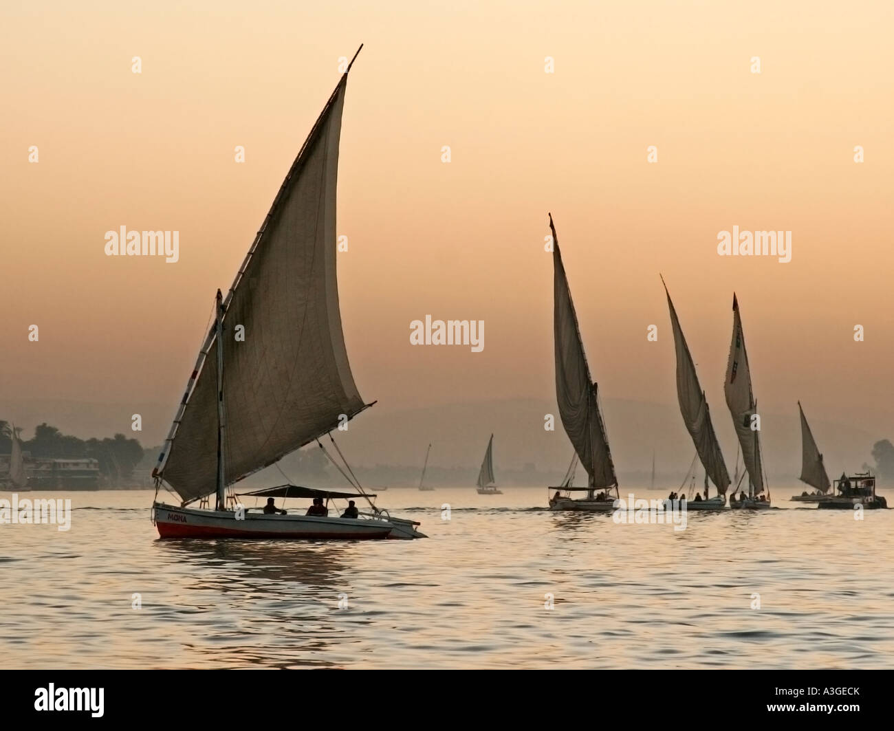Felucca boats cruise the Nile at Sunset Stock Photo - Alamy