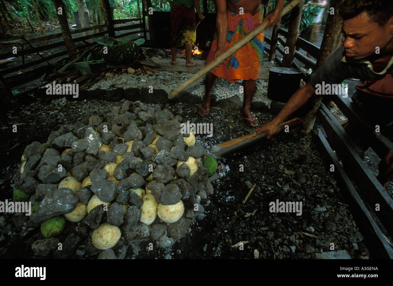 On an early Sunday morning in the village of Falealupo Savaii Samoa ...