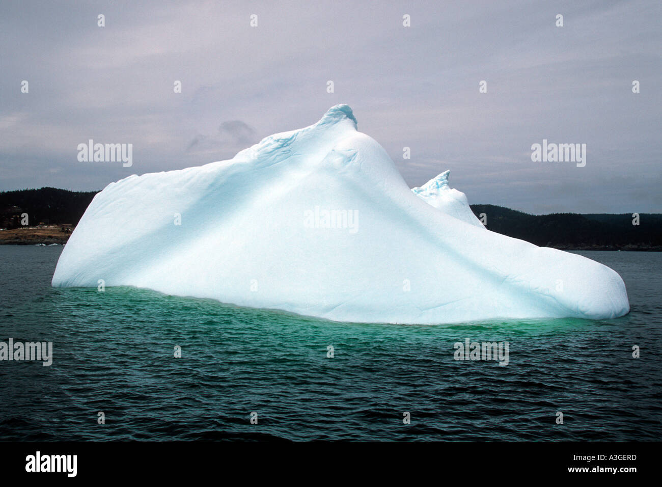 An iceberg floats off Newfoundlands Coast at Witless Bay Stock Photo ...