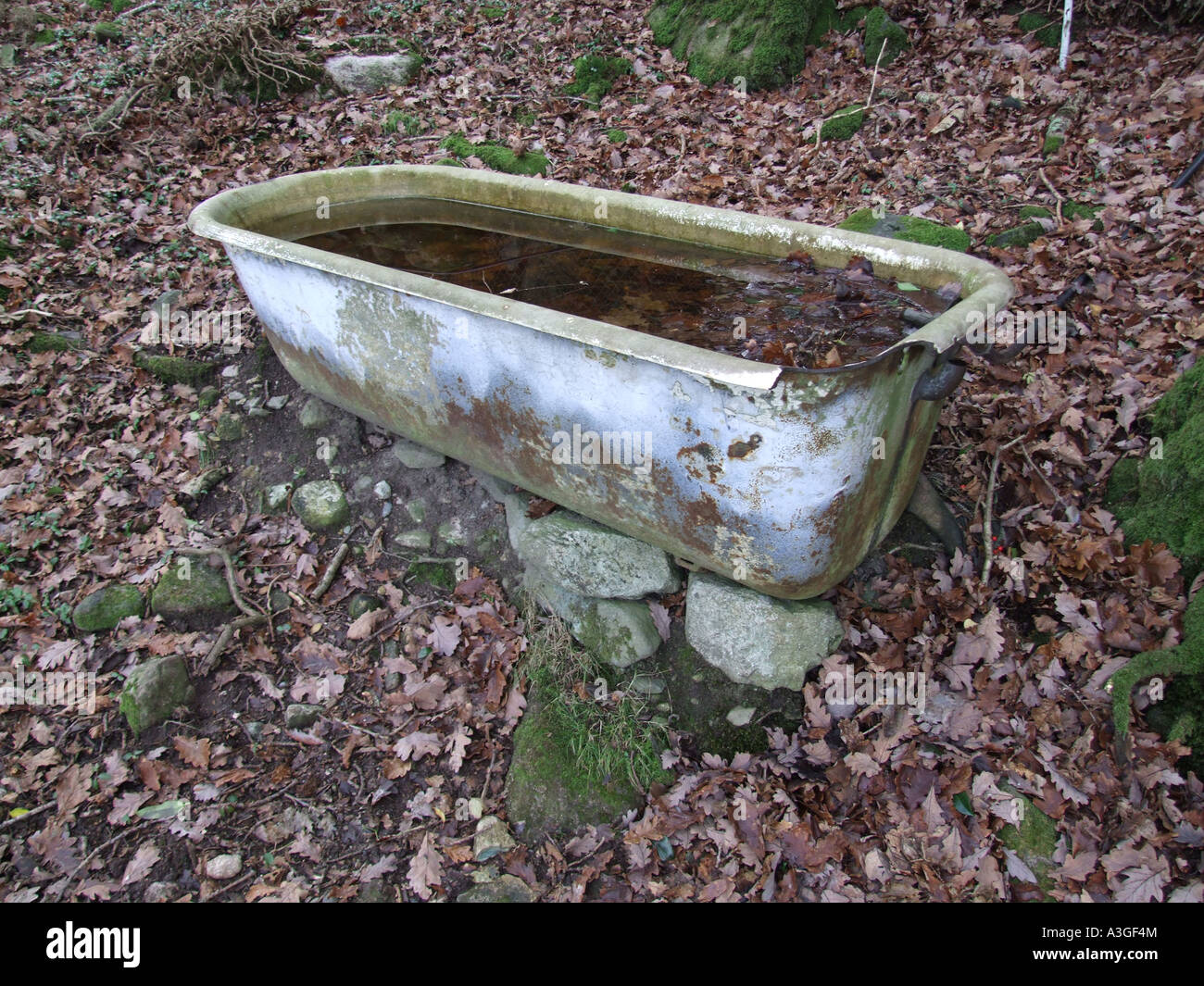 animal drinking trough in field Stock Photo - Alamy