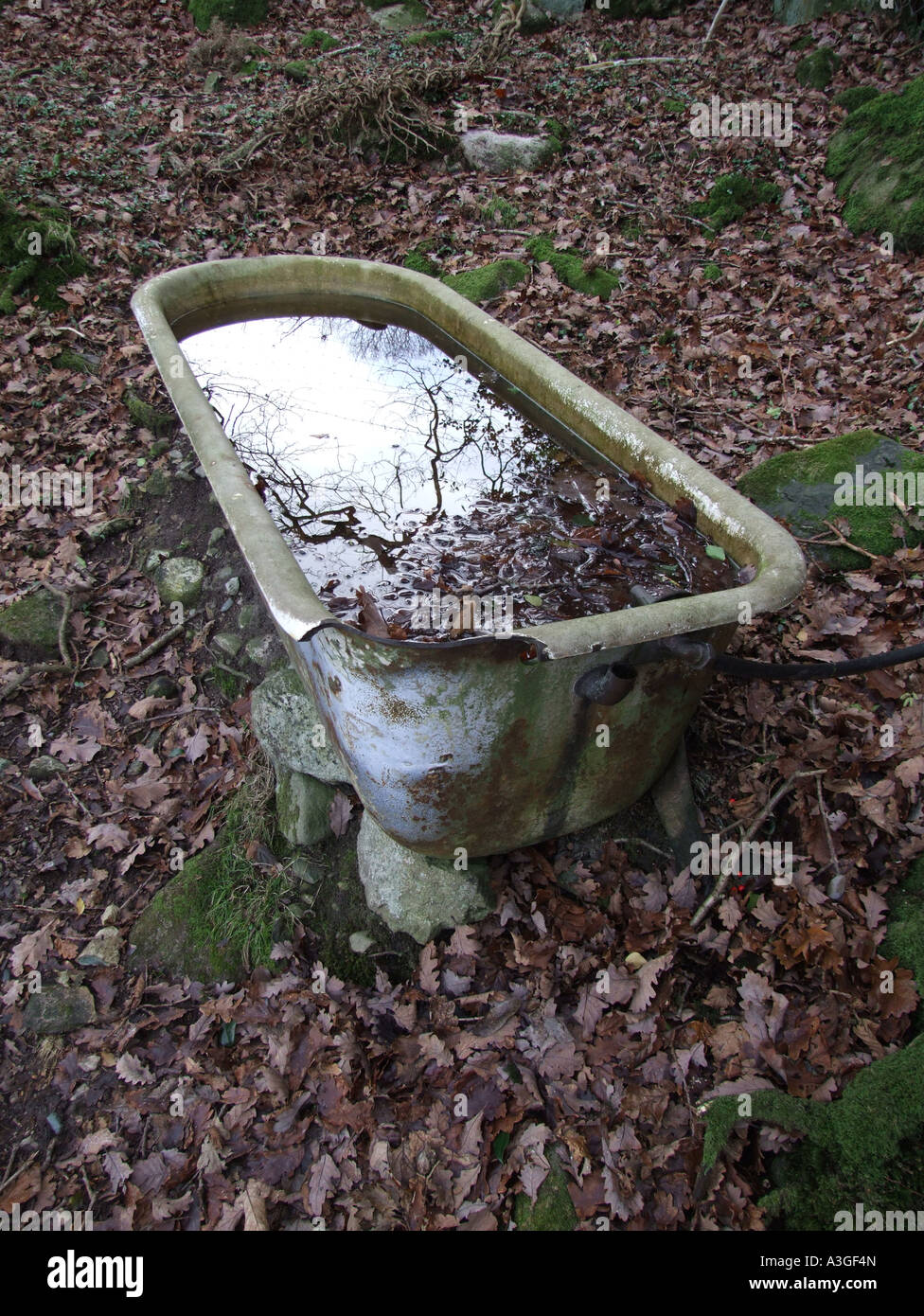 animal drinking trough in field Stock Photo - Alamy