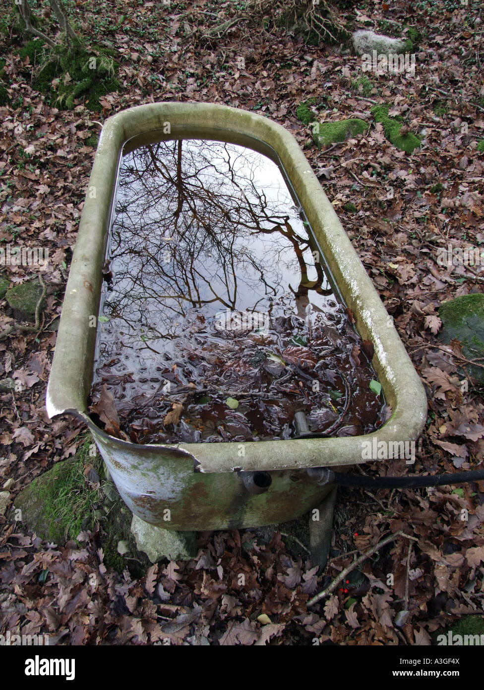 animal drinking trough in field Stock Photo - Alamy