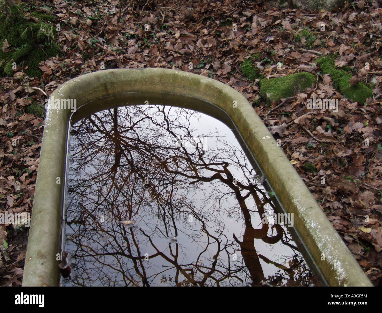 animal drinking trough in field Stock Photo - Alamy