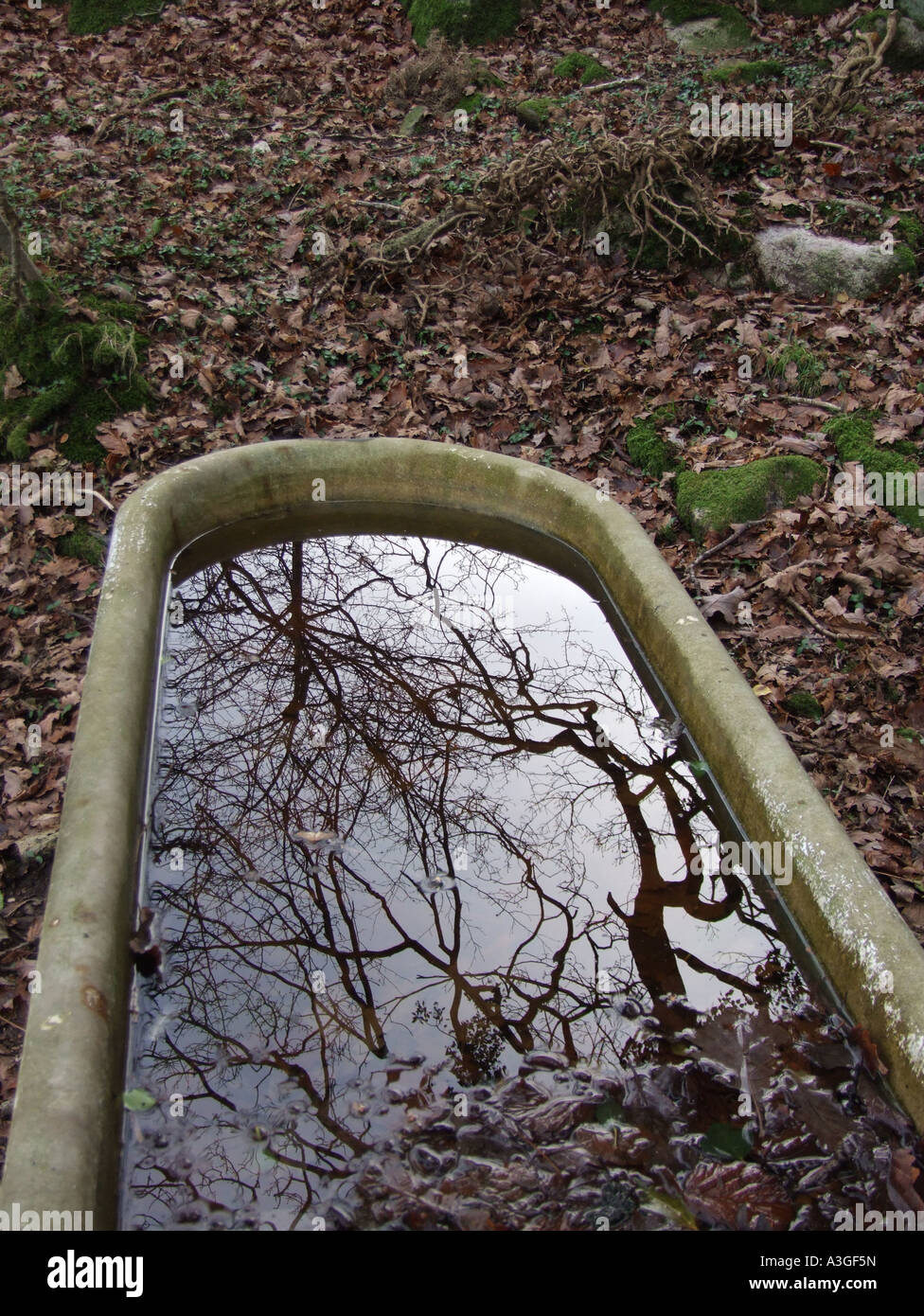 animal drinking trough in field Stock Photo - Alamy