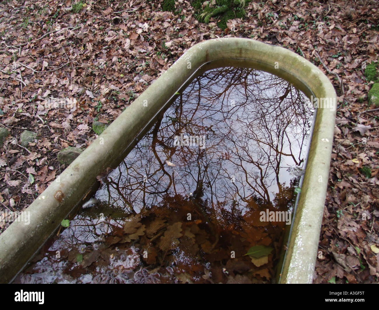 animal drinking trough in field Stock Photo - Alamy