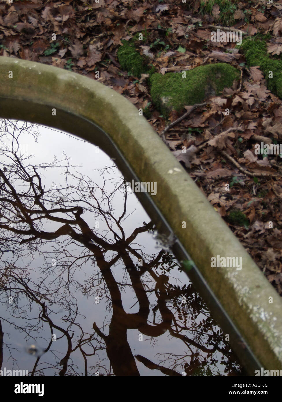 animal drinking trough in field Stock Photo - Alamy