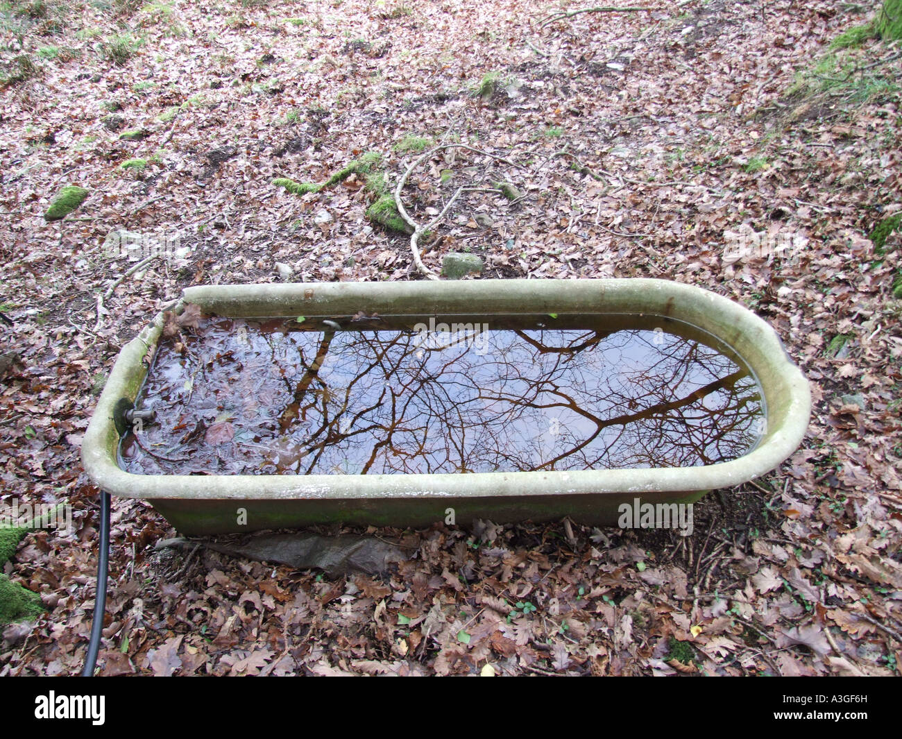 animal drinking trough in field Stock Photo - Alamy