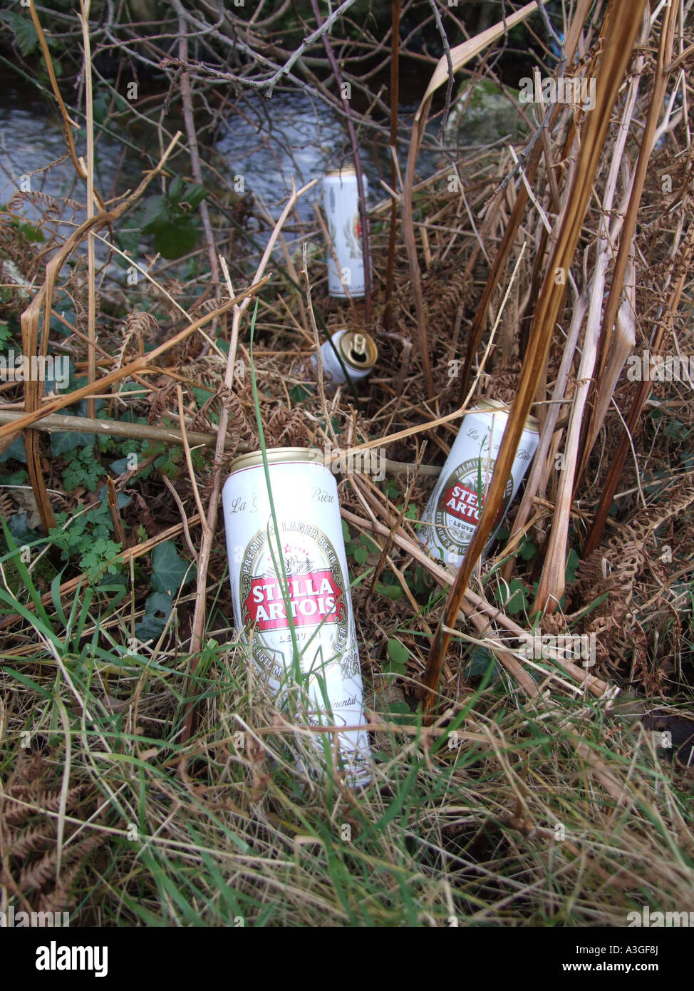 cans of lager beer discarded in field Stock Photo - Alamy