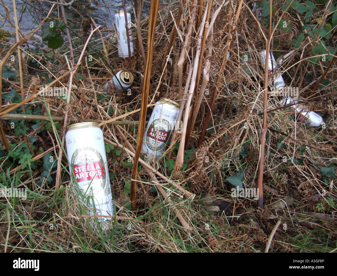 cans of lager beer discarded in field Stock Photo - Alamy