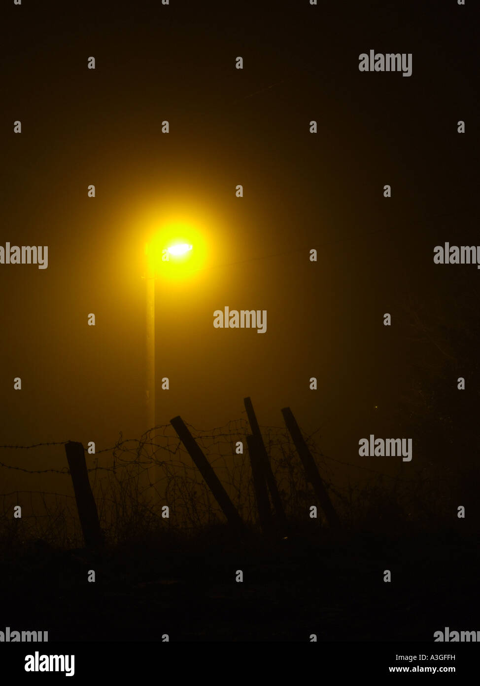 field scene covered with fog at night Stock Photo - Alamy